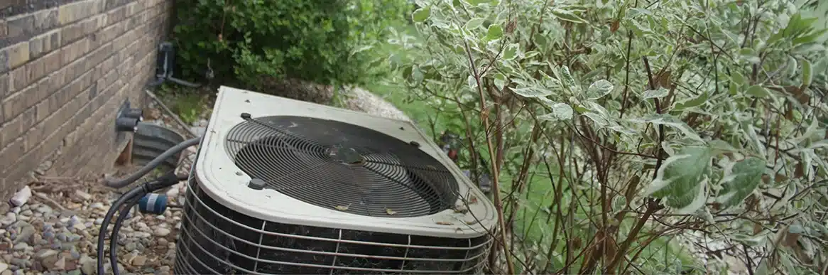 Importance Of Landscaping For A Cooler Home | Peterman Brothers